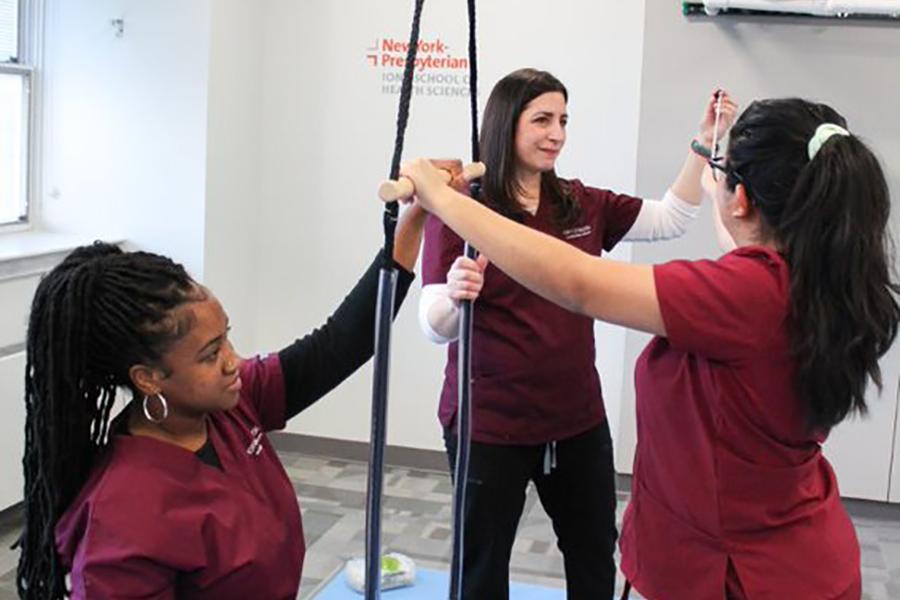 Occupational Therapy | Iona University