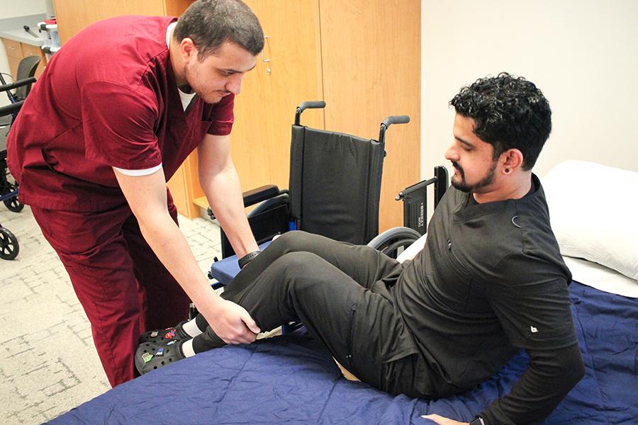 What is an Occupational Therapist? | Iona University